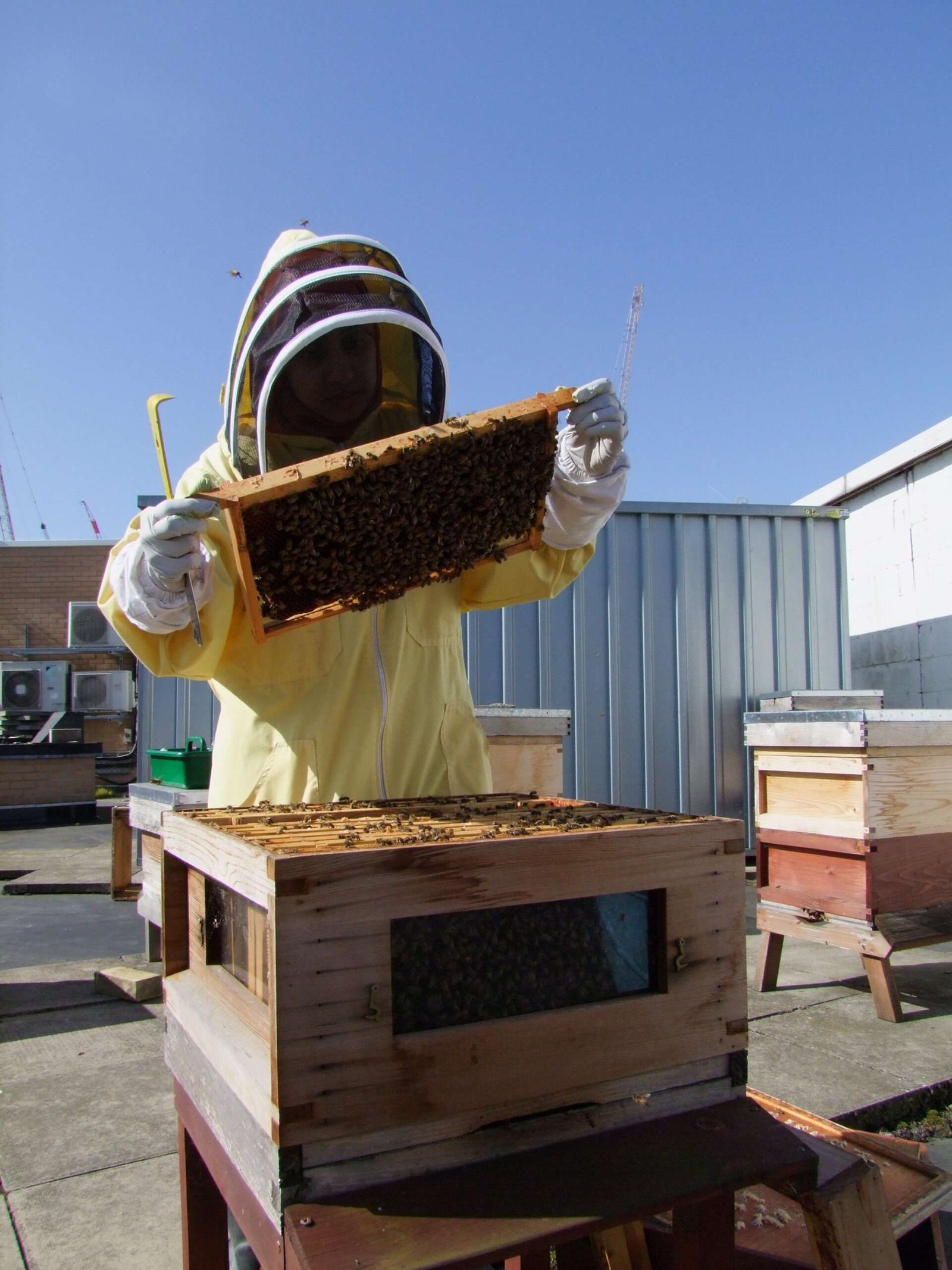 Beekeeping Course in London - Bushwood Bees - Local honey & Gifts